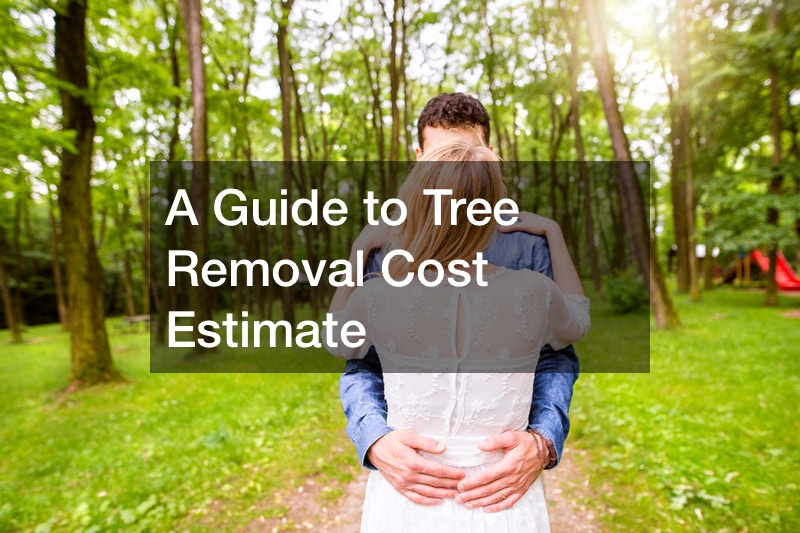 A Guide To Tree Removal Cost Estimate Family Budgeting